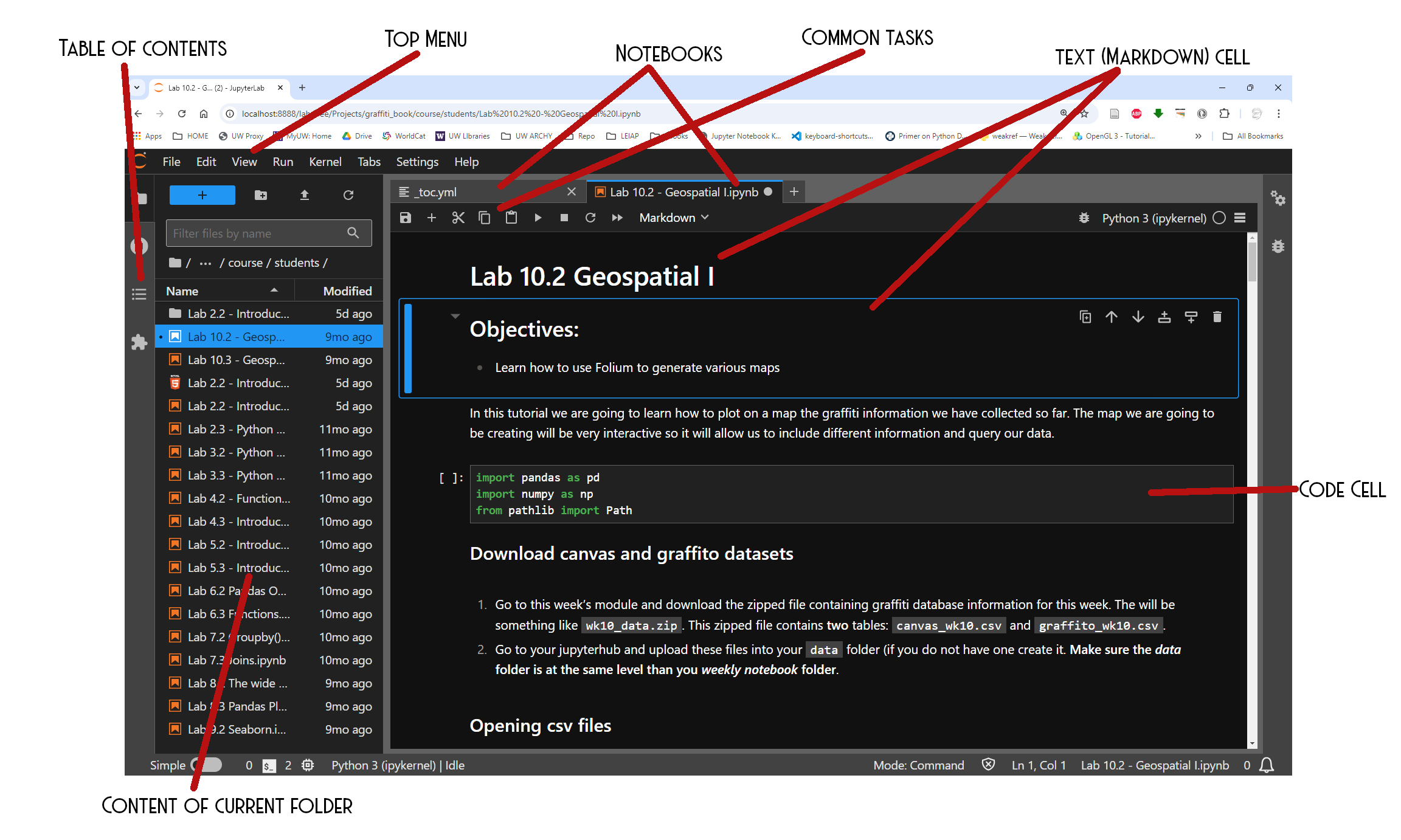 Notebook Basics — Graffiti Project